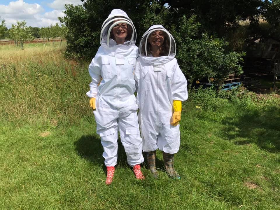 Bee Experience - fruitfields.co.uk